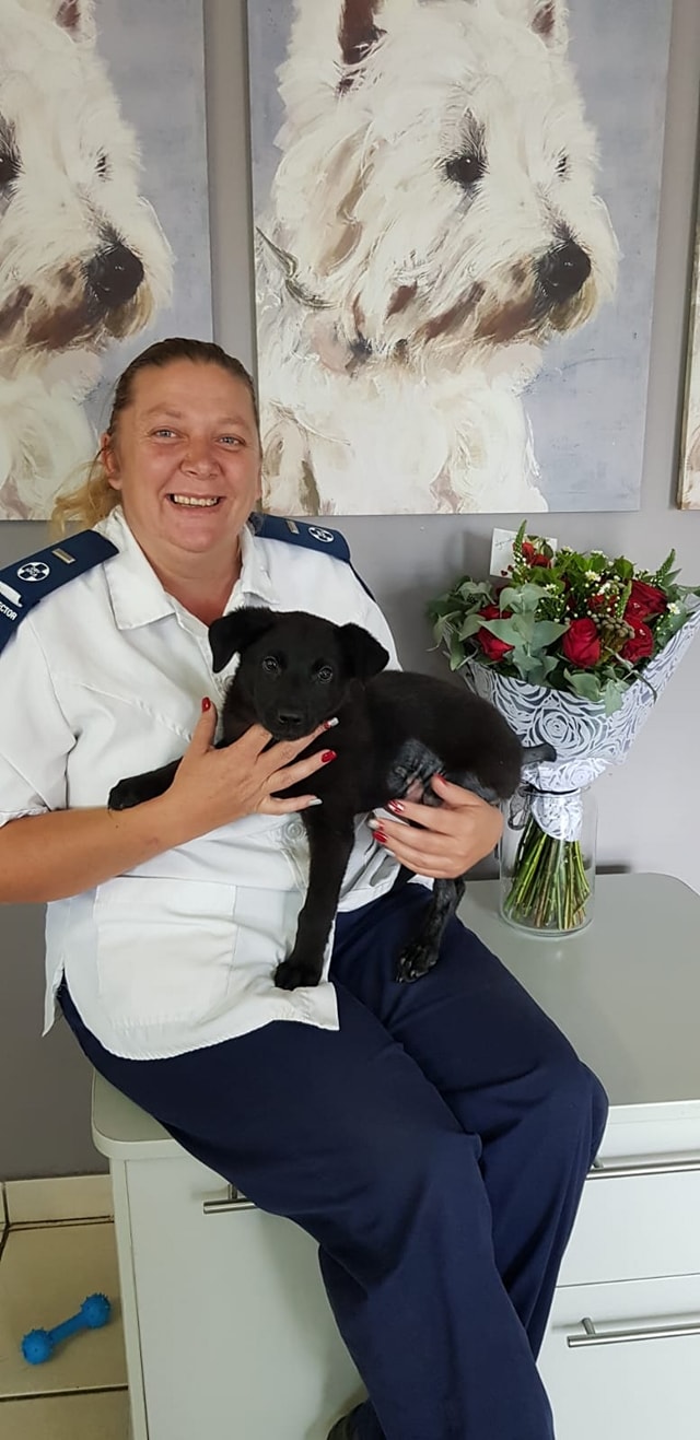 Wys jou liefde vir jou vierpootvriend op Valentynsdag! | Vaalweekblad