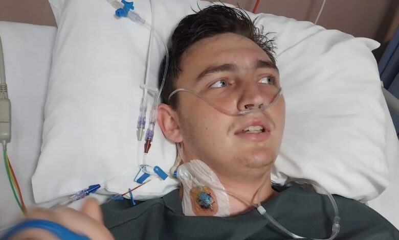 Basjan – goeie nuus na groot skrik | Vaalweekblad