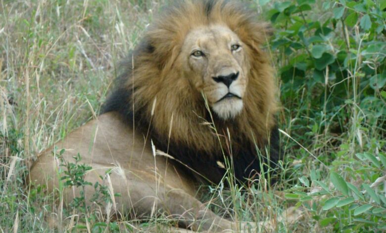 Ek sê maar net… | Vaalweekblad