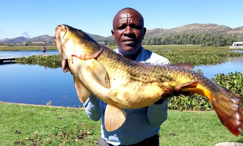 Wat 'n hartseer gesig! | Vaalweekblad