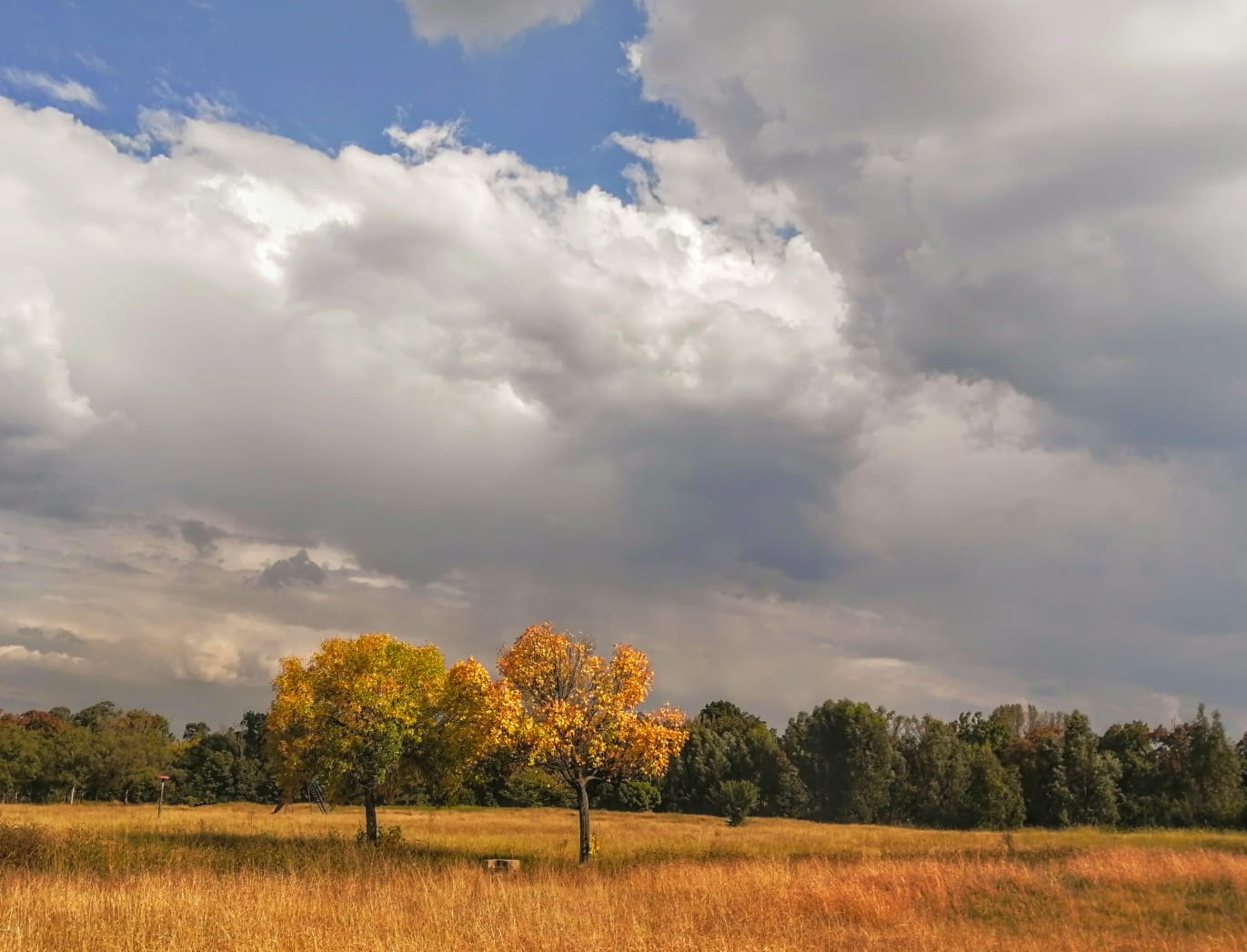 Fotograwe se buitengewone groot oes! | Vaalweekblad