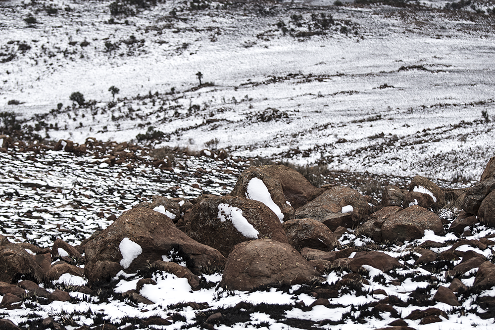 KYK: Sneeu verander Suikerbosrand Natuurreservaat in winter-wonderland ...