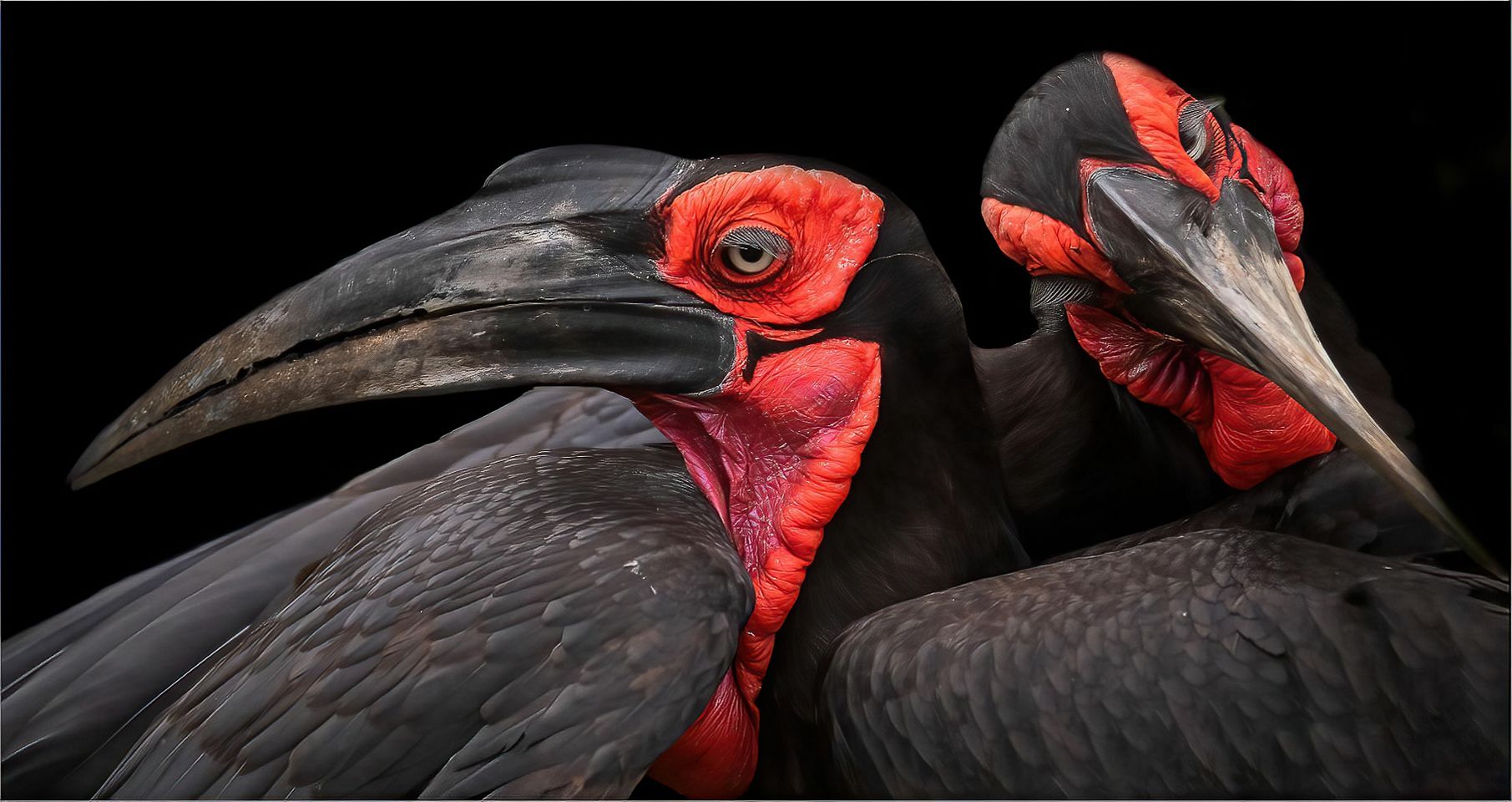 Kyk die pragtige foto-versameling | Vaalweekblad