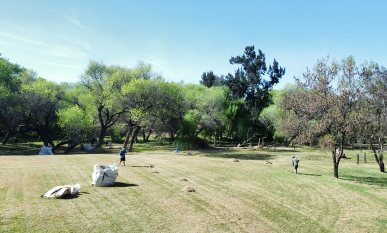 Agt ton vullis opgeruim in Phoenix-park | Vaalweekblad