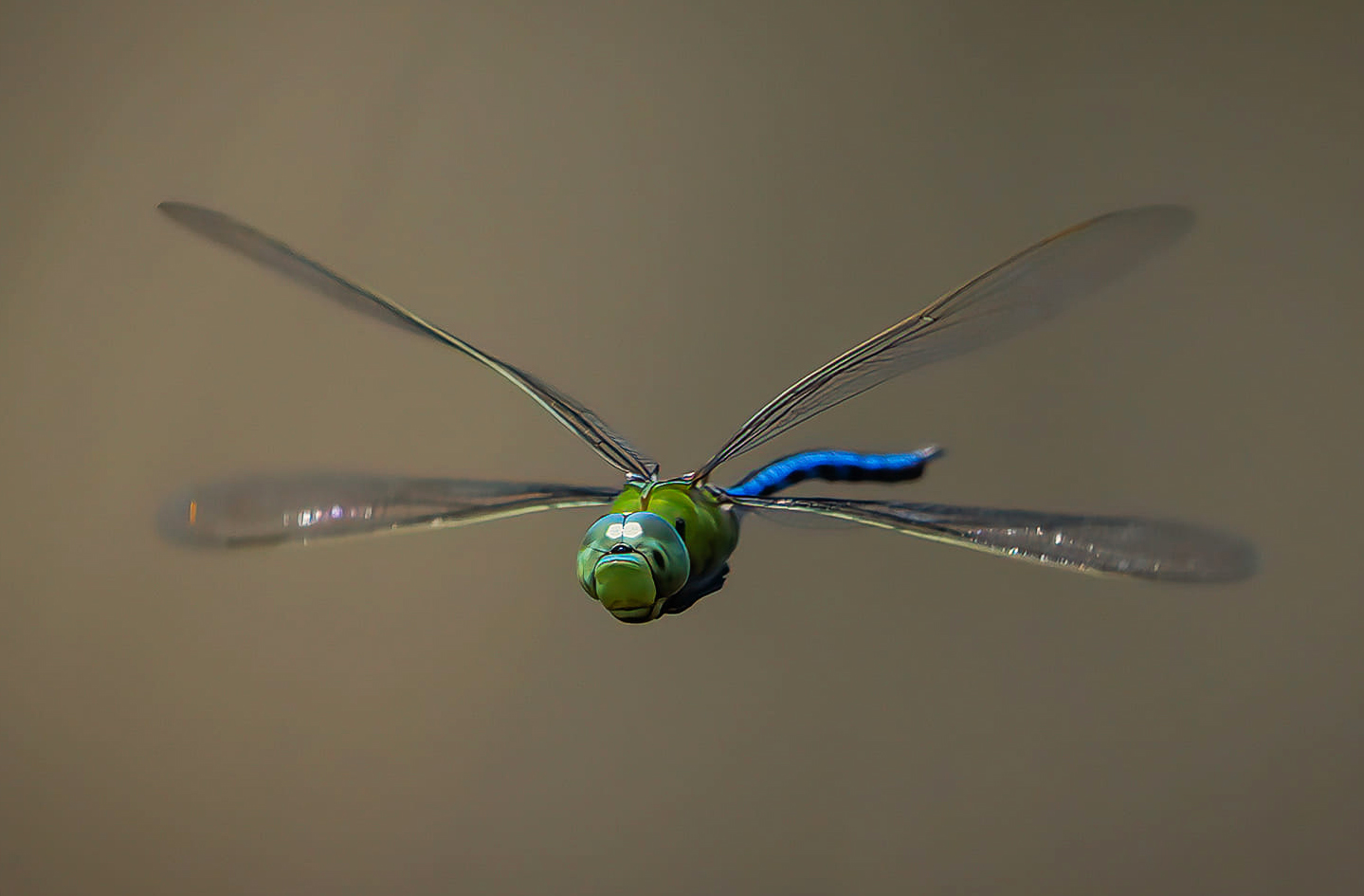 Die fotograwe 'kook' | Vaalweekblad