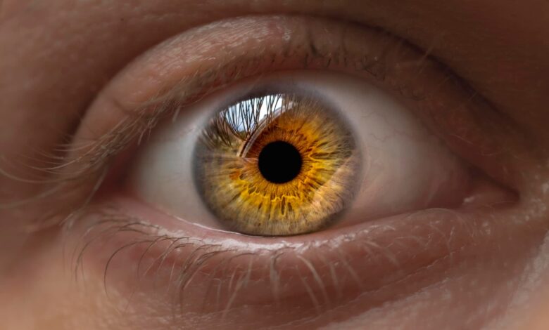 Het jy Vaalweekblad se oog gevang? | Vaalweekblad
