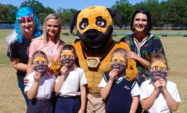 Ontmoet die nuwe superheld, Braaf die Boerboel | Vaalweekblad