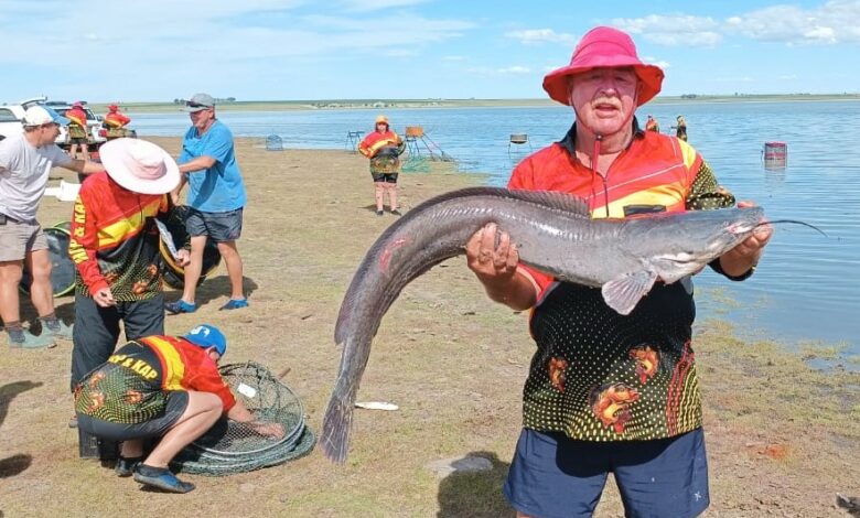 Die katrolle het weer gesing | Vaalweekblad