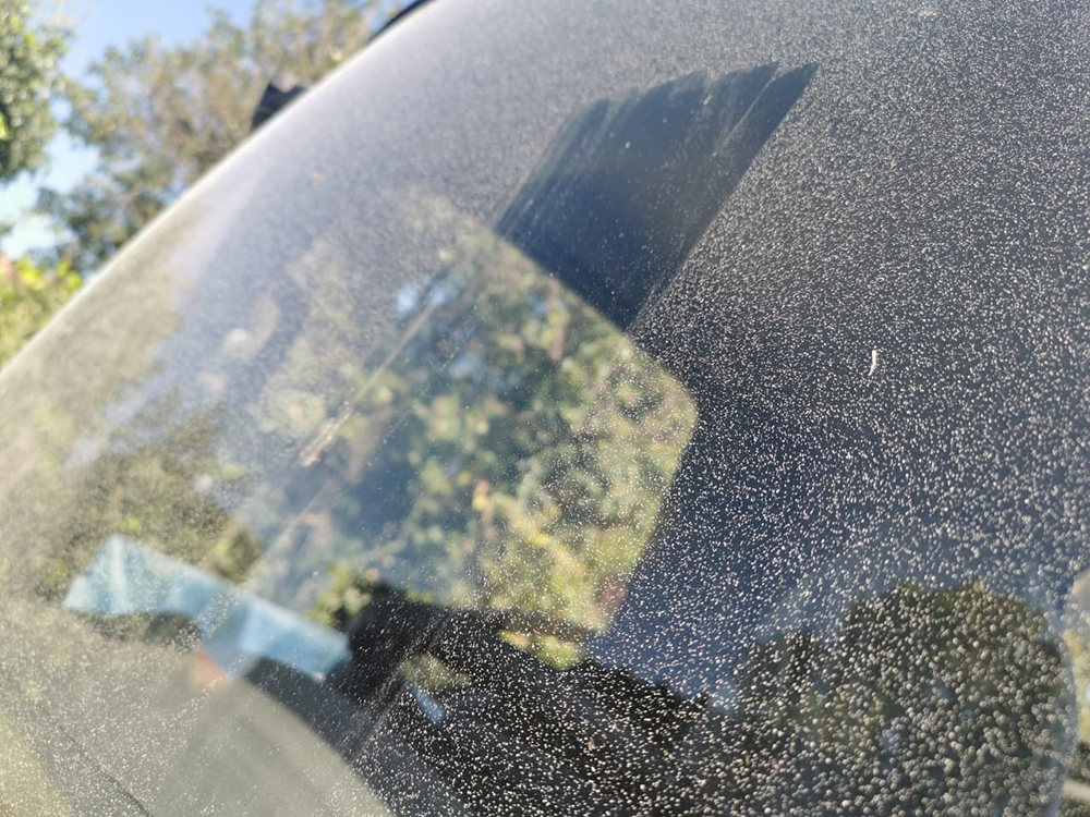 Meyerton-inwoners krap kop oor wit neerslag | Vaalweekblad