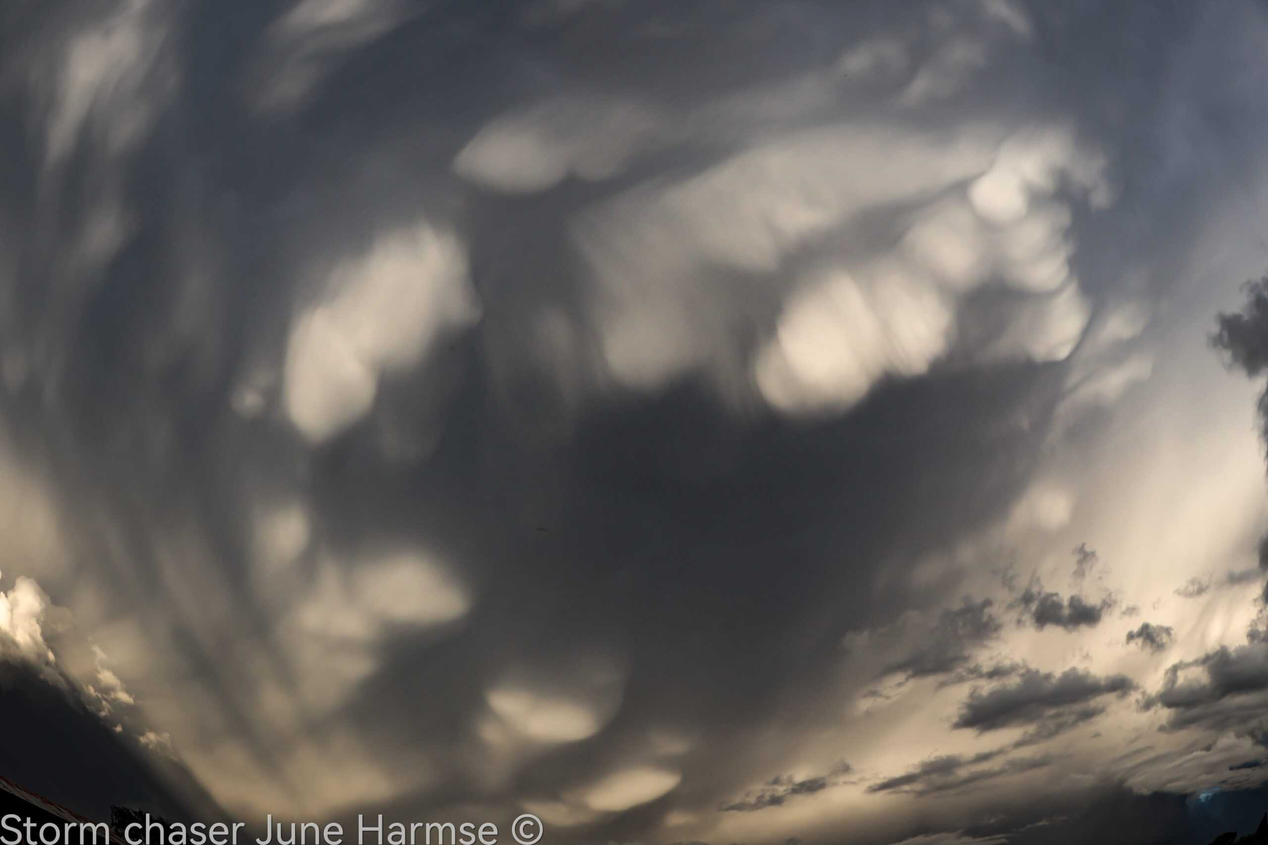 June Harmse, ‘n stormjagter van formaat | Vaalweekblad