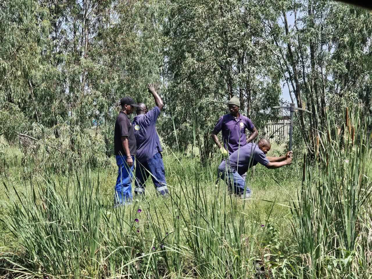 Inwoners van Leeuhof ‘in die duister’ oor krag | Vaalweekblad