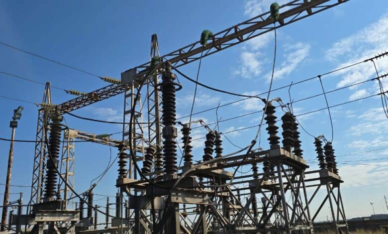 ELM substasies: 'n Doring in ons vlees | Vaalweekblad