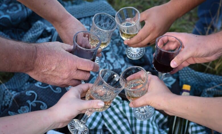 Vaal Wine Route 2025: Book now for the popular Wine Expo on May 31 ...