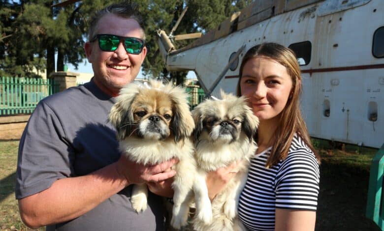 Pekinese prinsies weet hulle is wafferse wollerige wenners | Vaalweekblad