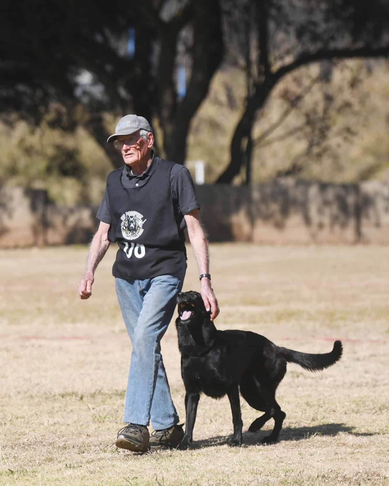 German Shepherd Nationals bring world-class dog sport to Meyerton ...