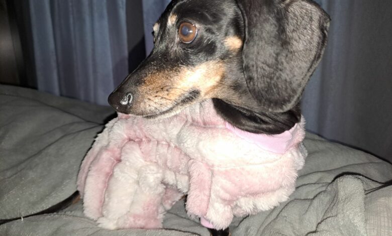 Ons weet wat ons weet | Vaalweekblad