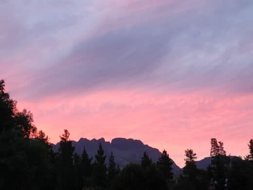 Fotoblad: Dis heerlike lente! | Vaalweekblad