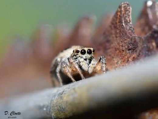 Fotograwe gefokus om goeie foto's te neem | Vaalweekblad