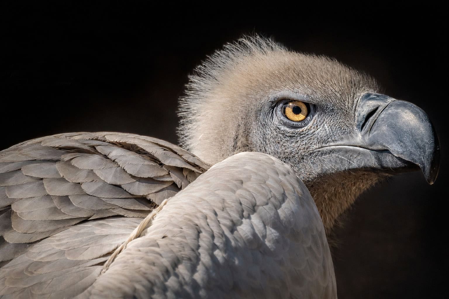 Fotograwe gefokus om goeie foto's te neem | Vaalweekblad