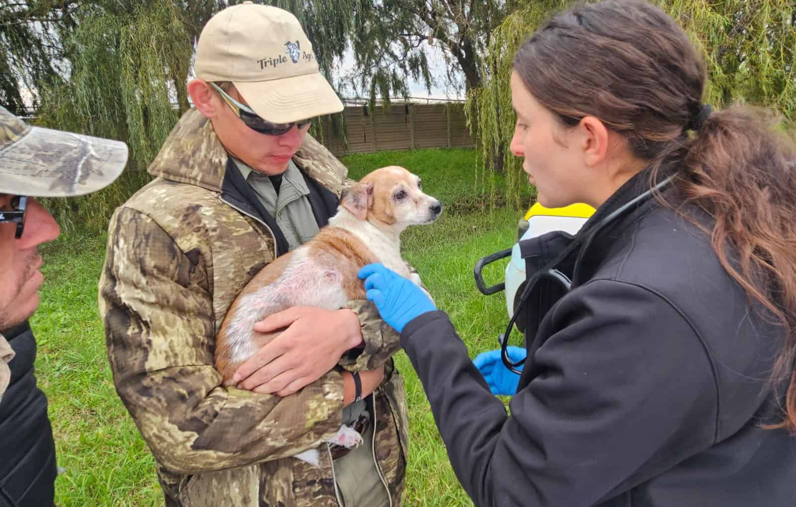 Meyerton pet owners learn more about rabies | Vaalweekblad