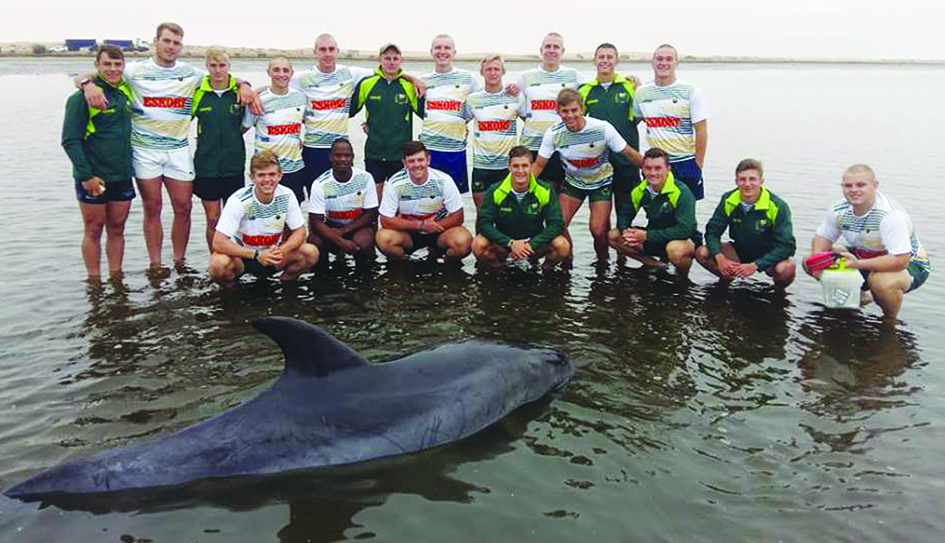Dolphin rescue was an extraordinary experience | Heidelberg Nigel Heraut