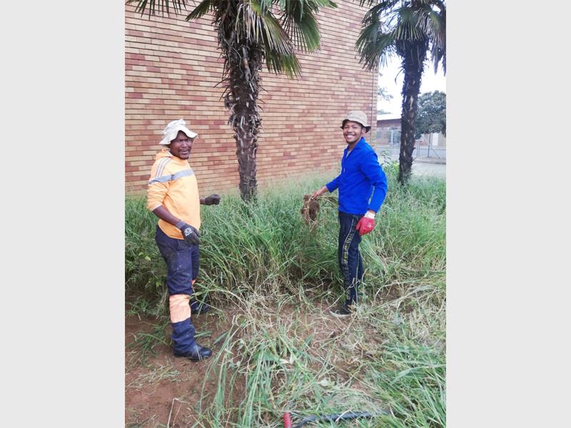 Clean-Up Nigel volunteers hard at work | Heidelberg Nigel Heraut