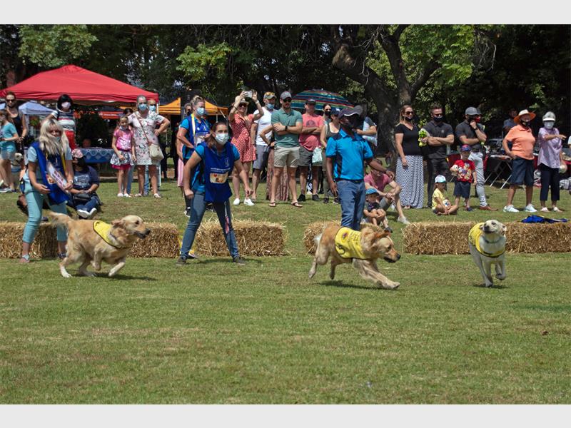 SA Guide-Dogs Association for the Blind celebrates 70 years ...