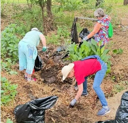 Clean Heidelberg volunteers dedicate one hour a week to keeping town ...