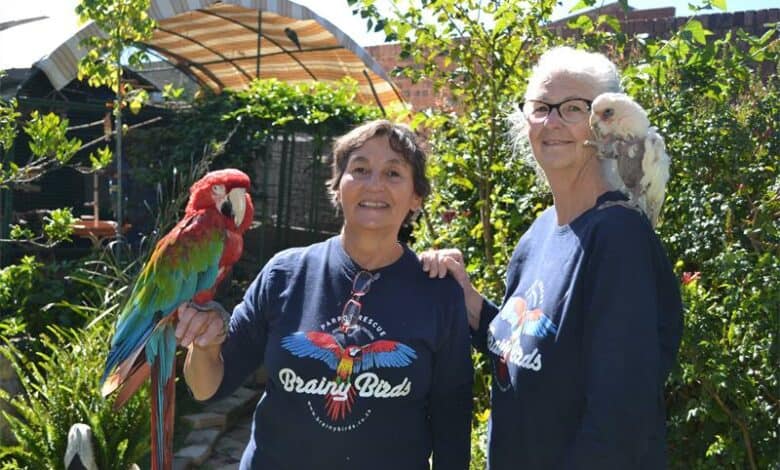 Brainy Birds seeks community support to care for rescued parrots ...