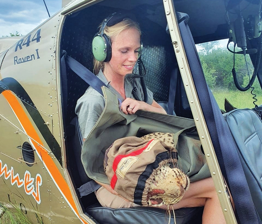 Successful leopard rescue mission | Die Pos
