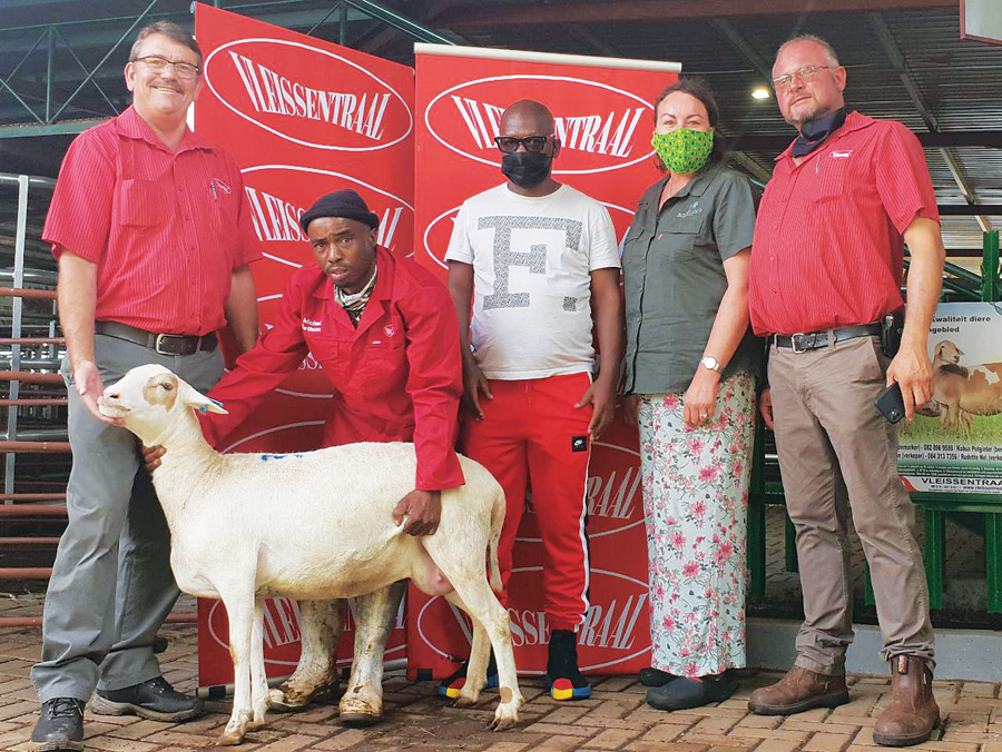 Boervrou kry hoogste prys vir top skaap-ooi op veiling | Die Pos