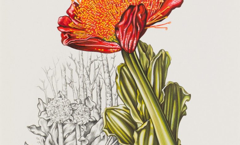 More to botanical art than meets the eye | Die Pos