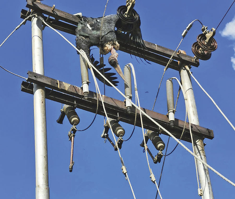 Geite en giere... | Die Pos