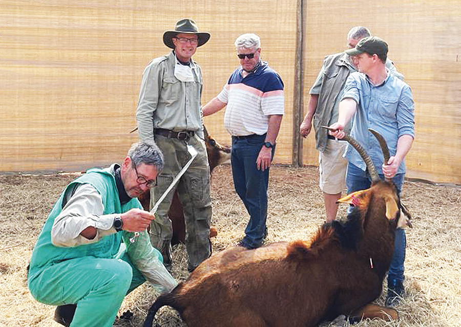 Saad van dooie diere danksy tegnologie verkry | Die Pos