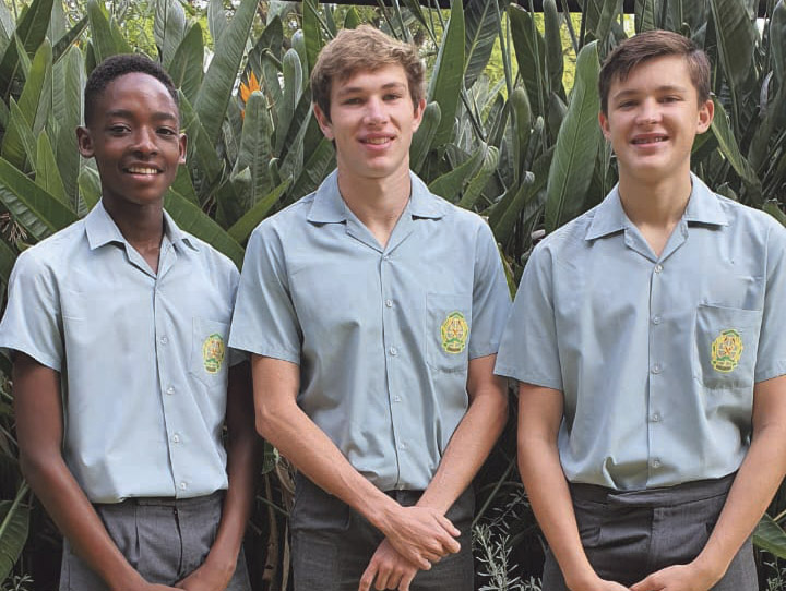 Warries swem dat dit bars | Die Pos