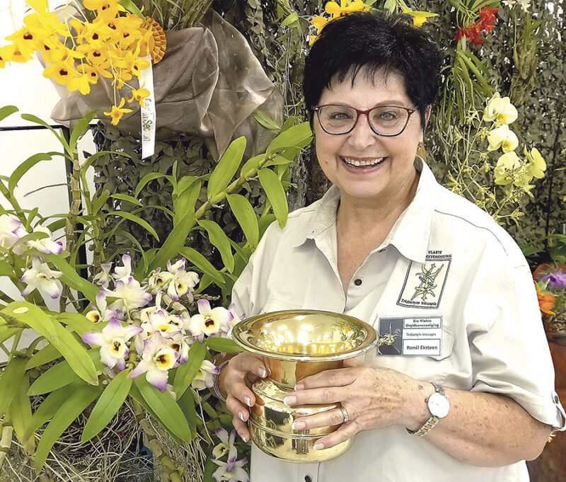 Orgideёskou ’n ontploffing van kleur | Die Pos