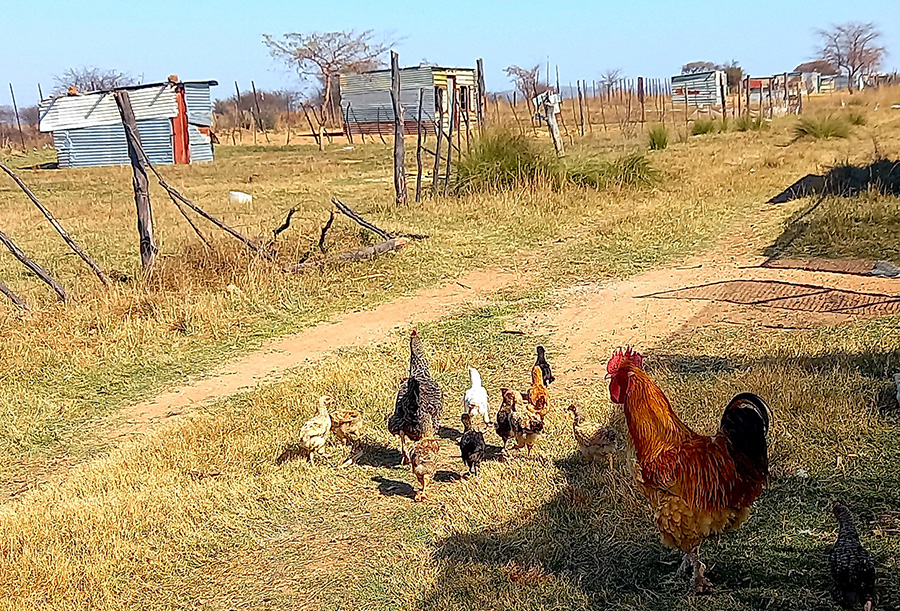 Nuwe dorpsontwikkeling kry wind van voor | Die Pos