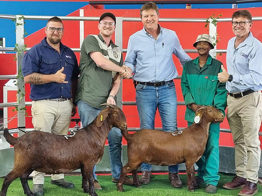 Dis nou ’n bielie van ’n bok! | Die Pos