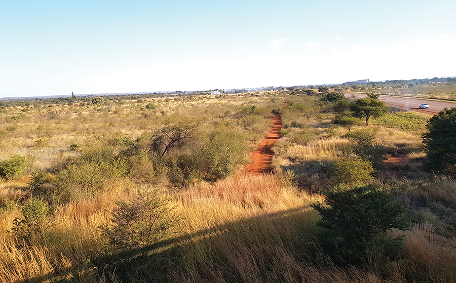 Onwettige besetters verwyder | Die Pos