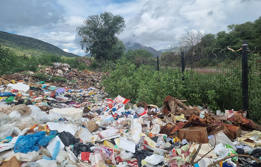 Ag nee tog, dit lyk regtig vieslik! | Die Pos