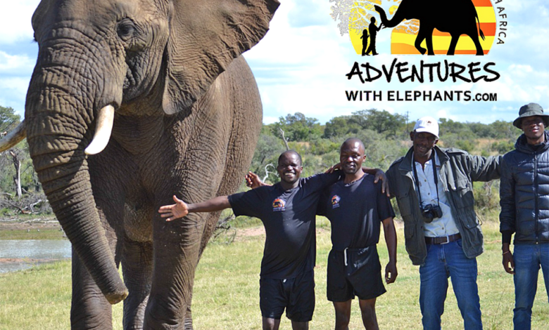Adventures with Elephants | Die Pos