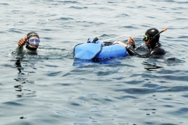 Environment: Former Shark Cedric Mkhize swims with sharks to raise ...