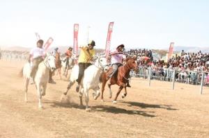 Dundee July Horse Race rides high in popularity stakes | The Witness