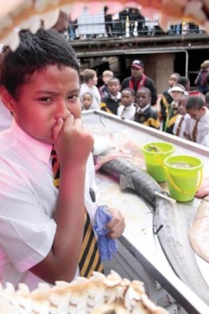 Stinky shark dissection enthrals children | The Witness