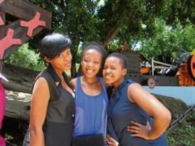 They sing without ceasing | The Witness