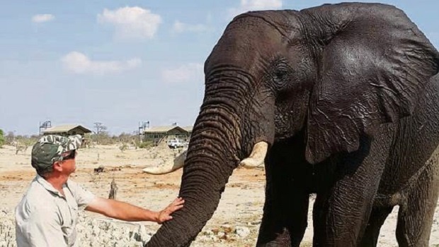 Bennie, the elephant steals hearts | The Witness
