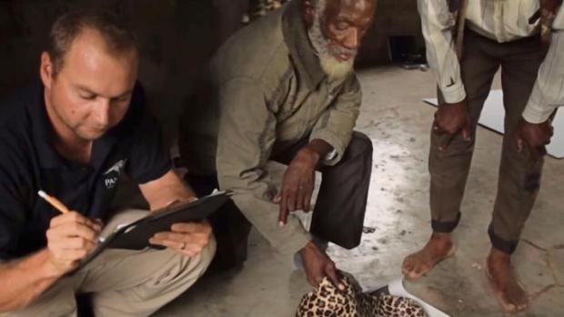 Out-of-the-box ploy to help end SA’s leopard skin trade | The Witness