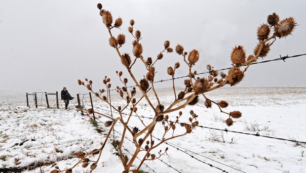 Snowfall in KZN as cold front hits | The Witness
