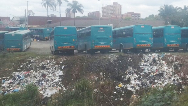 Outcry at litter behind PMB bus depot | The Witness