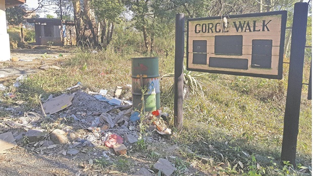 Howick Falls’ state 'a concern' | The Witness